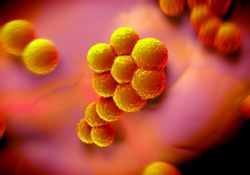 Allecra Therapeutics closes €22 Million Series B financing round