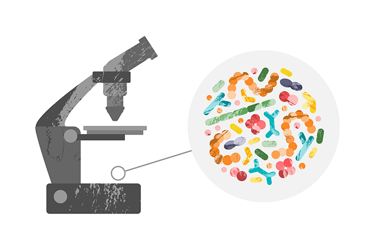 Developing and delivering live biotherapeutic products