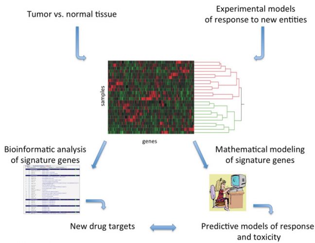 Gene to drugs: can expression be the key to new discoveries? - European ...