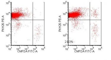 Application of flow cytometry in drug discovery - European ...