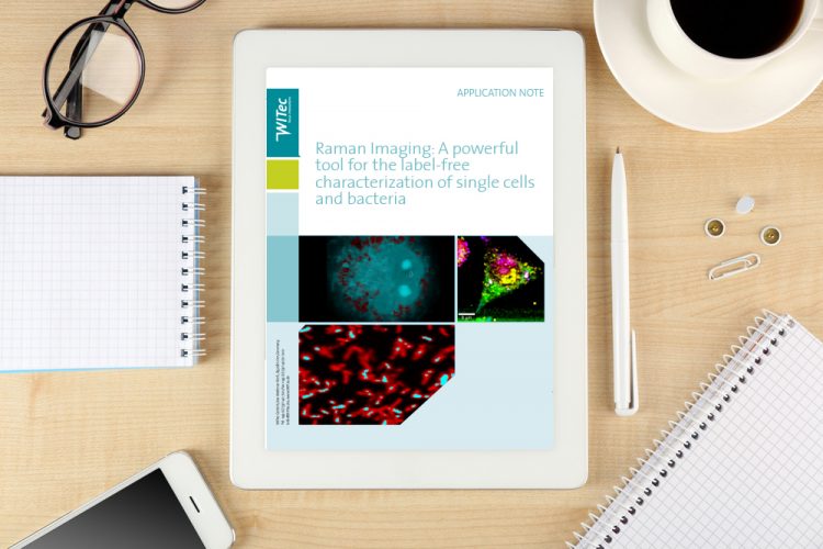 Application note: Raman Imaging: A powerful tool for the label-free ...
