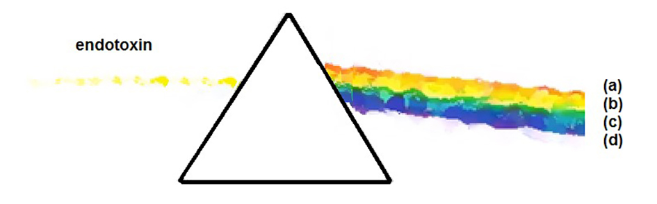 Bringing clarity: endotoxin definition and standardisation