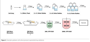 Considerations for tech transfer of a biologics upstream process