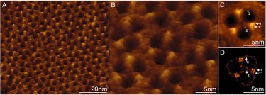 Bringing clarity: endotoxin definition and standardisation