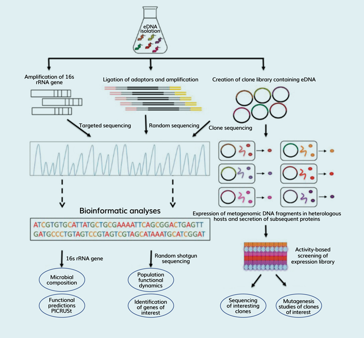 Learning from clinical microbiologists: culturomics and metagenomics