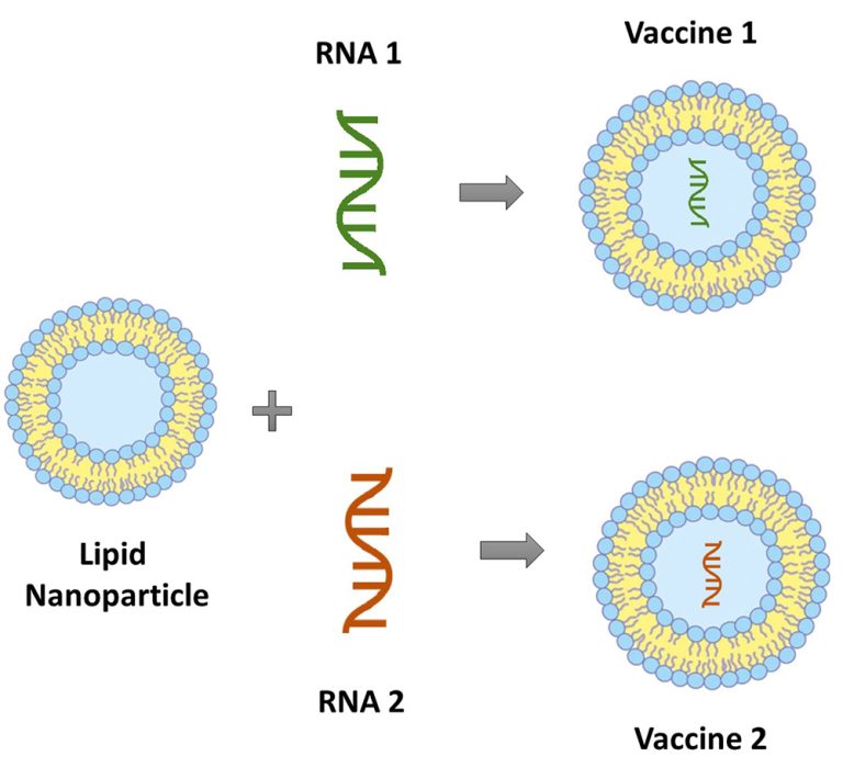 Towards ‘smart’ vaccine development and manufacturing