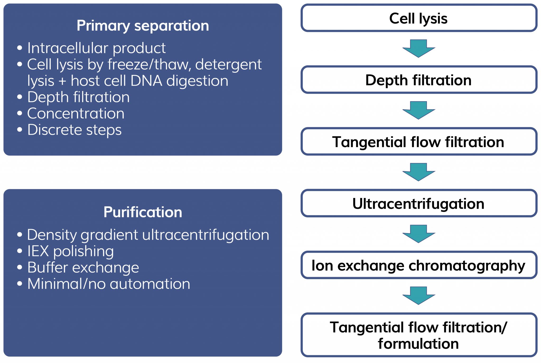Challenges in downstream purification of advanced therapies