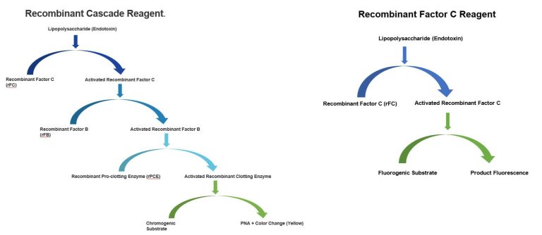 validating-recombinant-cascade-reagents-in-3-simple-steps