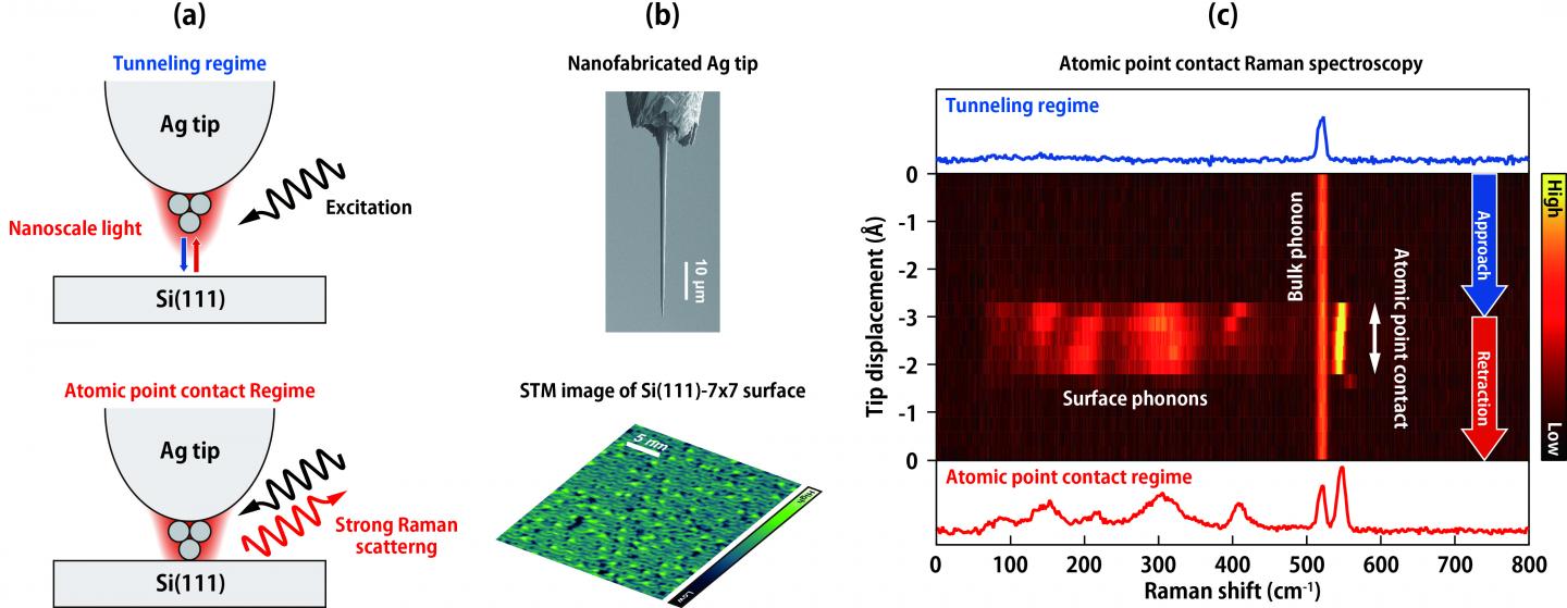 Atomic point contact significantly enhances Raman scattering
