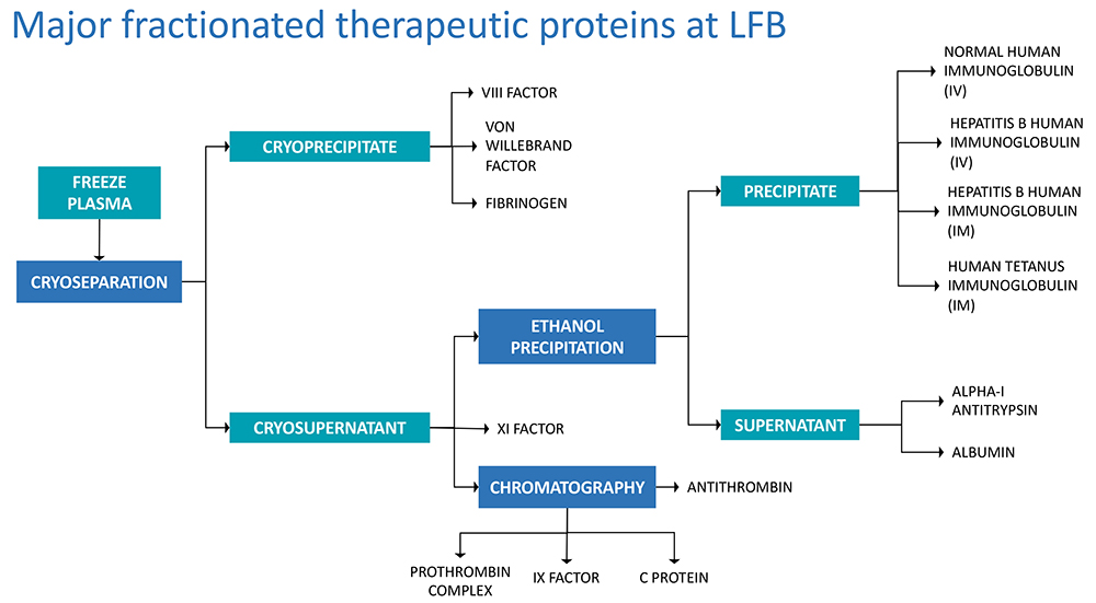 Plasma-derived therapies require a mastery of advanced bioproduction ...