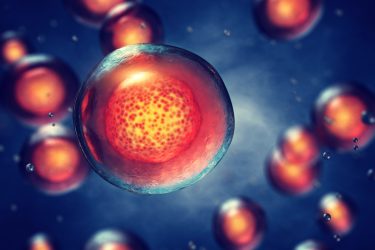 India gives nod to cell therapy for Critical Limb Ischemia (CLI)