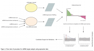 Detecting microRNA targets or siRNA off-targets using expression data ...
