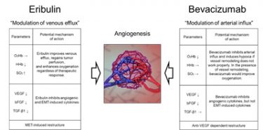 The vascular remodelling effects of eribulin in breast cancer