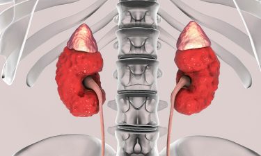 Licence extension submission accepted for kidney disease treatment