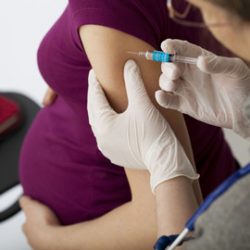 Maternal immunisation