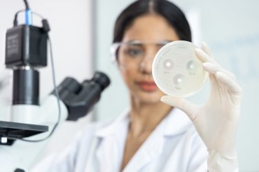 Microbial identification market valued at $10.7 billion by 2032