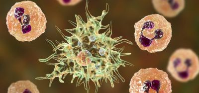 Phase III trial to assess pritelivir as a treatment for herpes infections