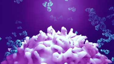 Construction of major radioligand therapy manufacturing site begins