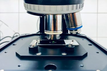 Raman and ML show promise for online monitoring of bioreactors