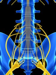 InVivo announces clinical trial site for Neuro-Spinal Scaffold