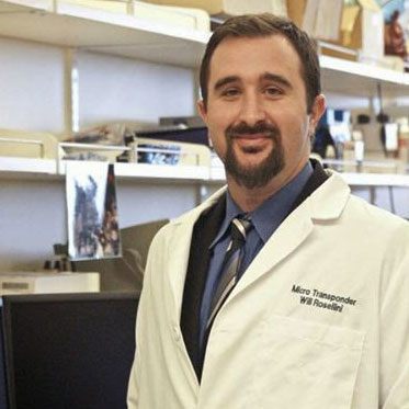 Brain on Blockchain - technologies for the betterment of humanity